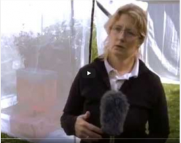 Quels services la biodiversité peut-elle rendre aux agriculteurs ...