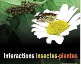 Interactions insectes-plantes | Ecophytopic
