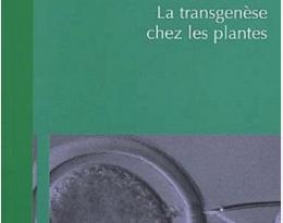 Les OGM : La Transgénèse chez les plantes | Ecophytopic